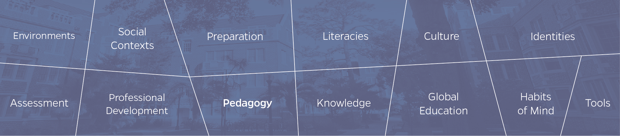 School of Teaching & Learning – University of Florida – College of ...